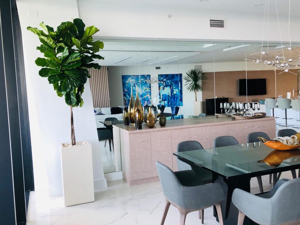 Top 12 Most Profitable Houseplants to Grow and Sell | Planters Etc.