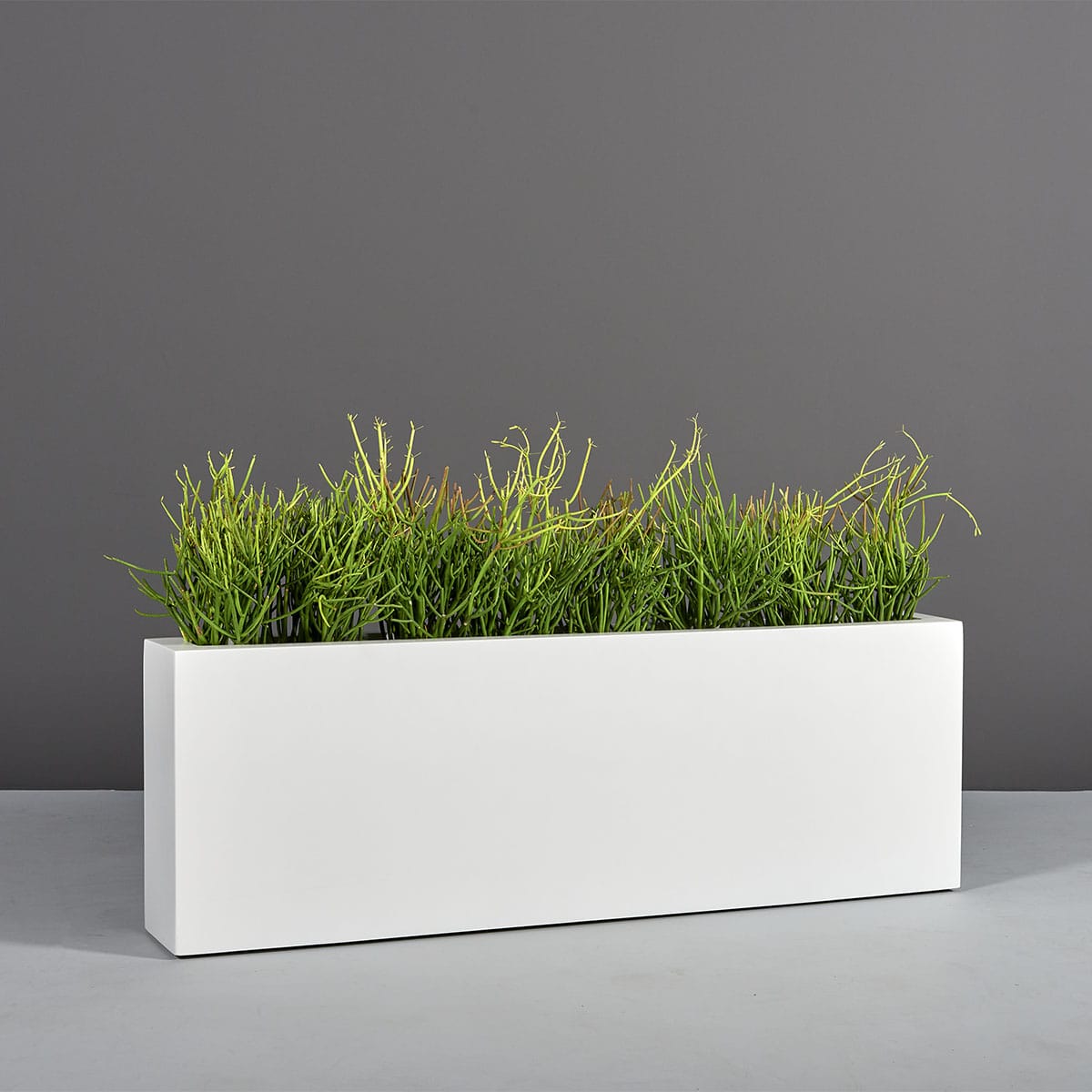 Buy the Camoux Narrow Rectangular Planter by Jay Scotts – Planters Etc