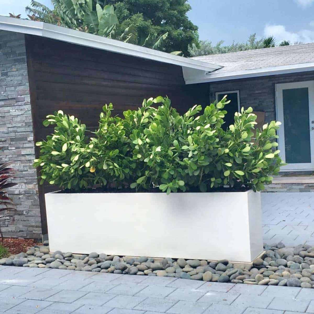 Buy the Hudson Extra Long Rectangular Planter by Jay Scotts – Planters Etc